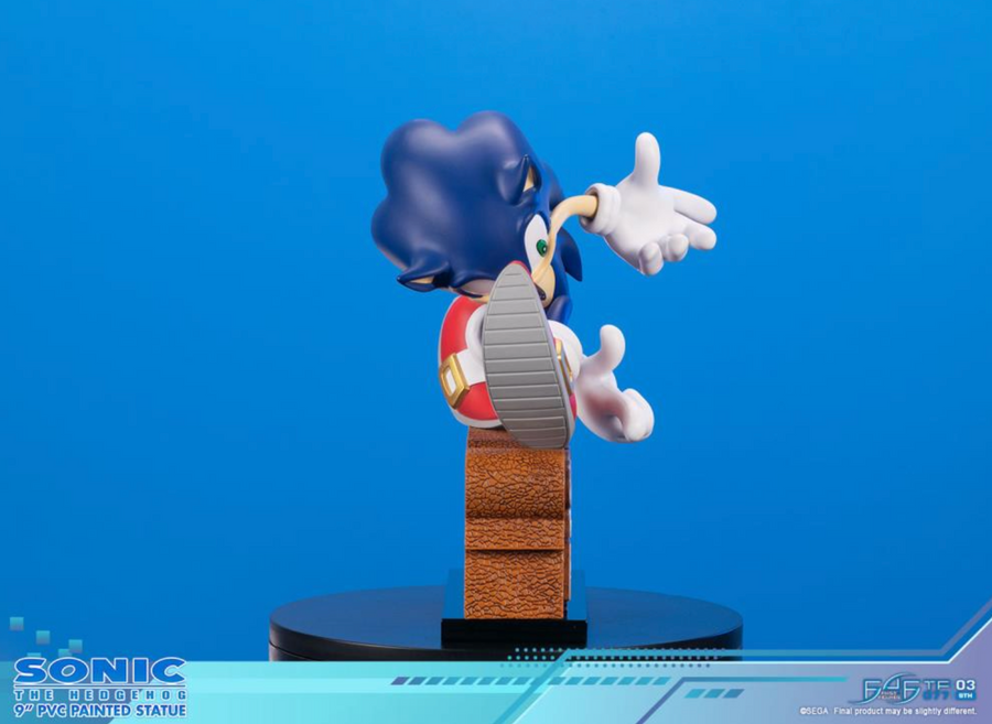 Sonic Adventure Sonic the Hedgehog | Infinity Collectables – Infinity ...