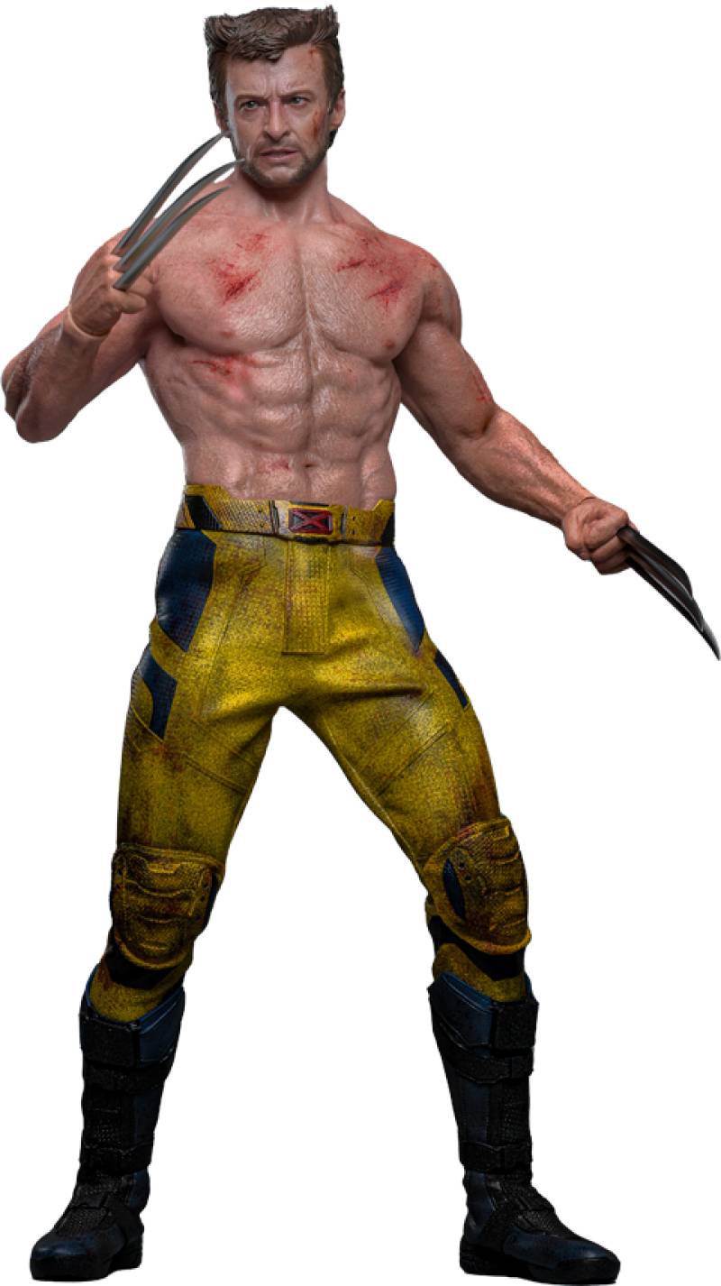 Hot Toys Wolverine TVA Jacket 1/6 Scale Figure | Marvel Series ...