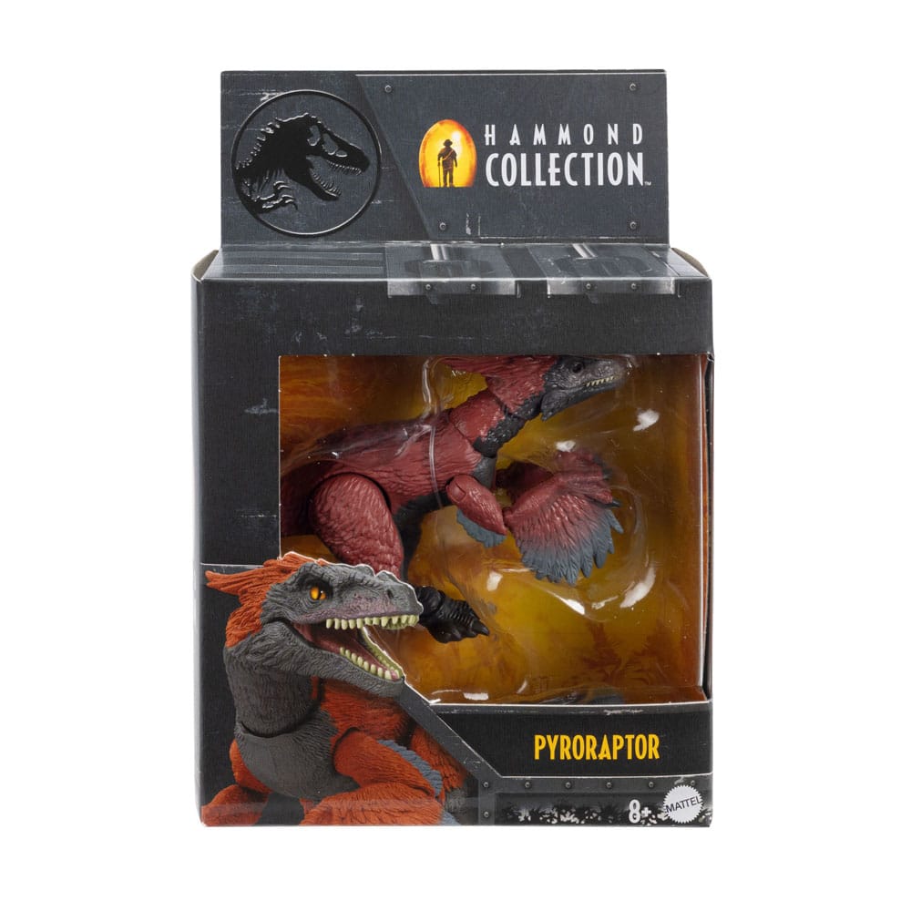 Jurassic World Hammond Collection Pyroraptor Action Figure – Infinity ...